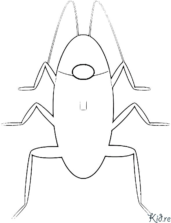 Cockroach - Activities For Kids ! 👦👧