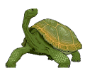 Pagong Animated Na Mga Imahe Gif